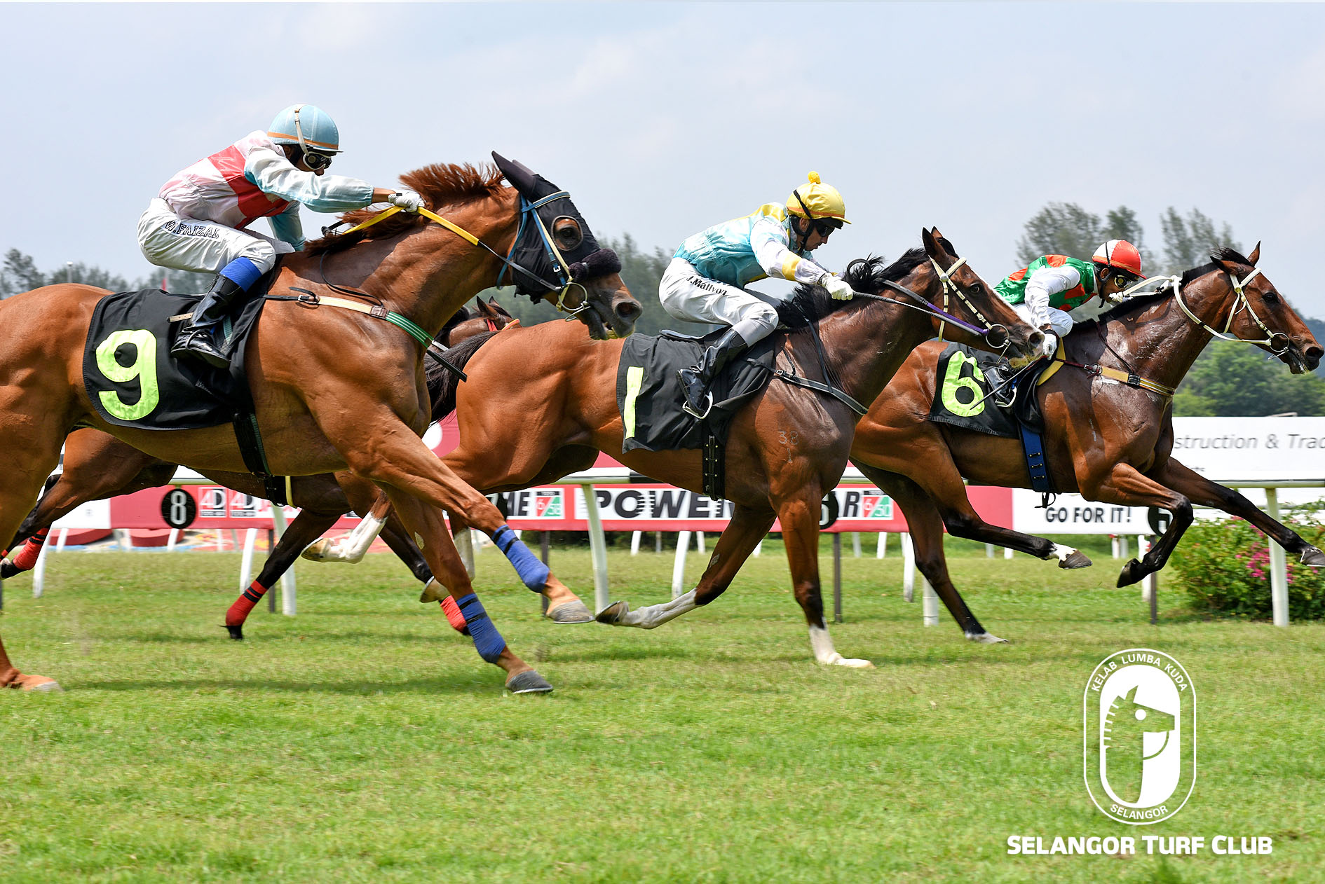 7 | Selangor Turf Club