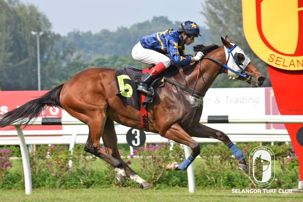 lim’s evolution | Selangor Turf Club