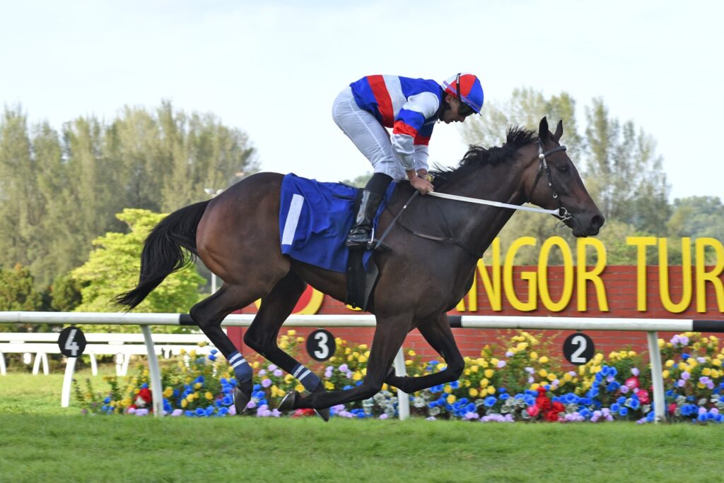 Pantong shines during workout | Selangor Turf Club
