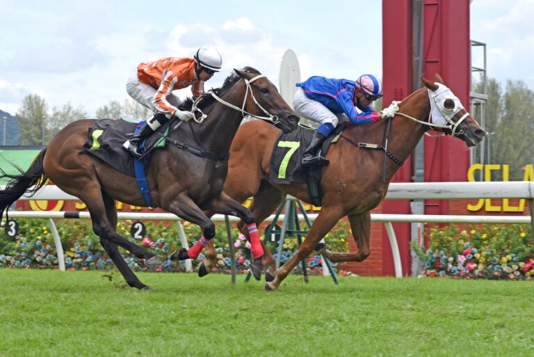 SLTC: A Transformative 2025 Racing Season | Selangor Turf Club