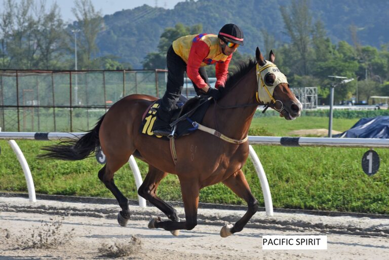 Pacific Spirit gets into the mood at KL trials | Selangor Turf Club