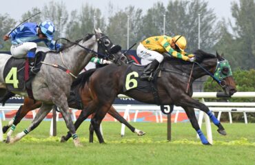 ROOK’S GAMBIT | Selangor Turf Club
