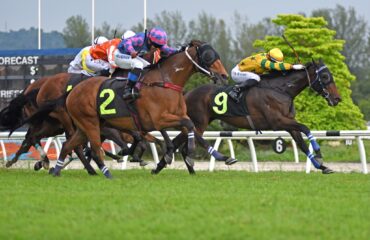 ROOK’S GAMBIT | Selangor Turf Club