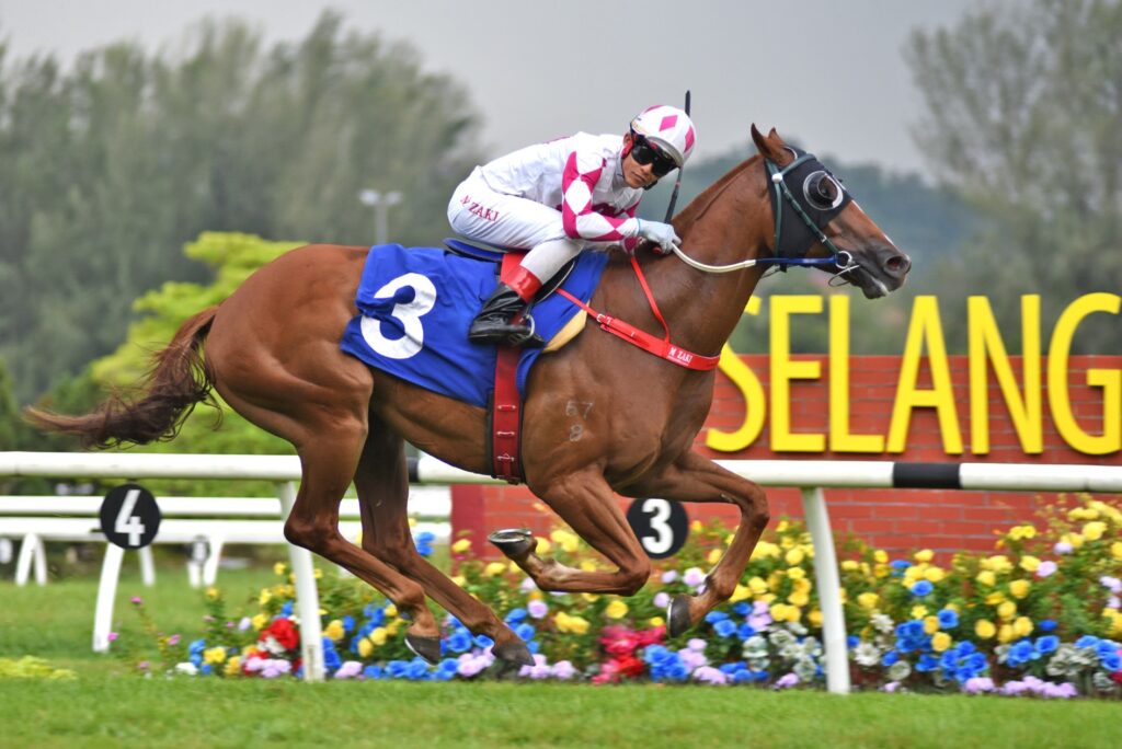 Heritage Sixty-One can get off the mark in Malaysia | Selangor Turf Club