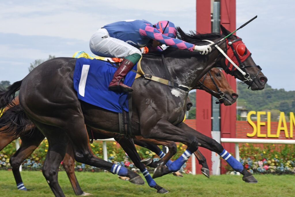 Dunderdale’s pair to fire in Silver Bowl | Selangor Turf Club