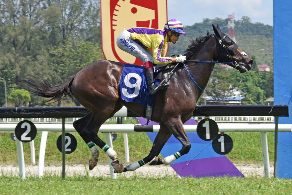 Dunderdale’s Fright can start the New Year with a bang | Selangor Turf Club