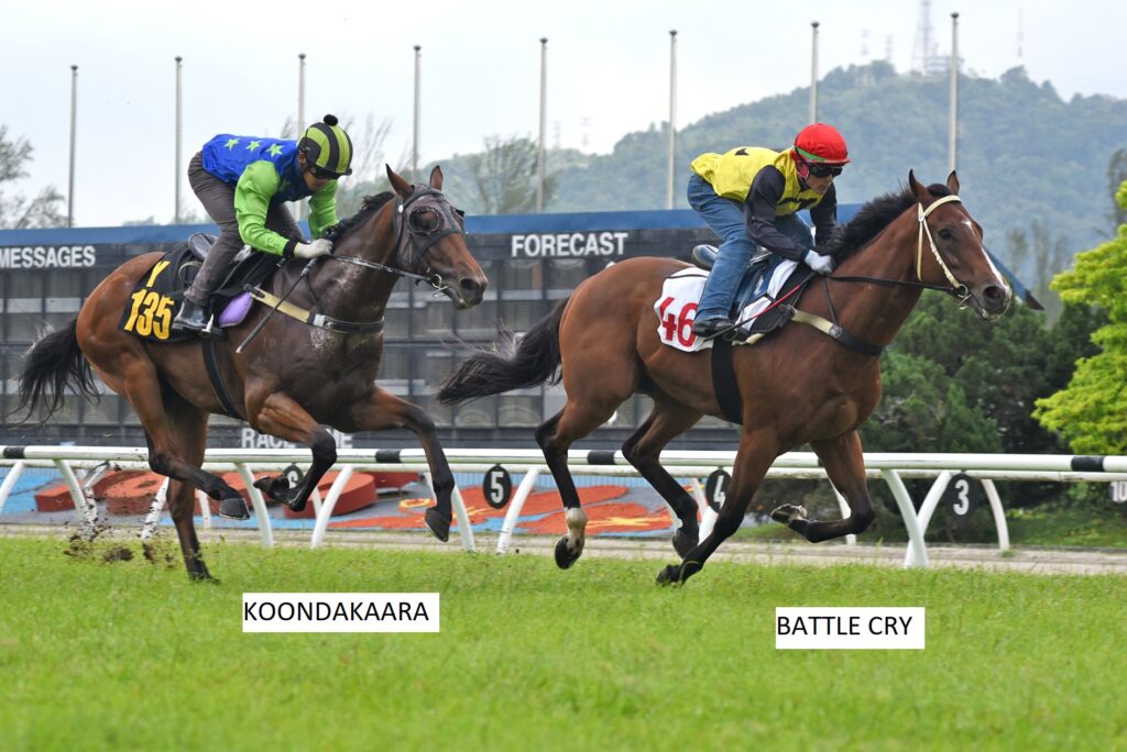 BATTLE CRYING OUT FOR DEBUT WIN | Selangor Turf Club