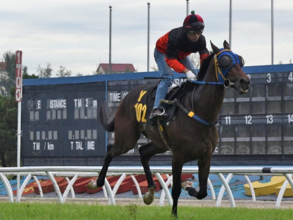 Always A Gentleman merciless | Selangor Turf Club