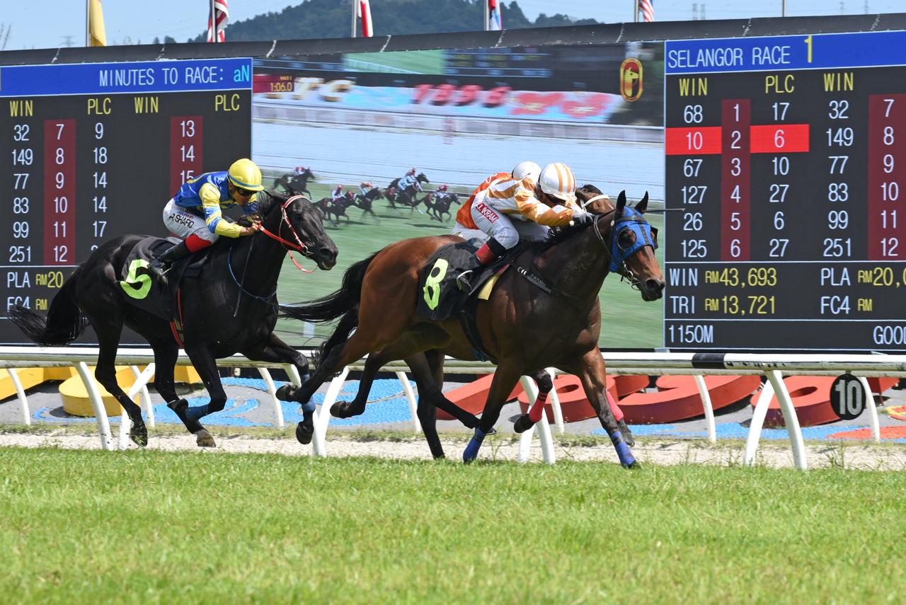 SLTC: A Transformative 2025 Racing Season | Selangor Turf Club