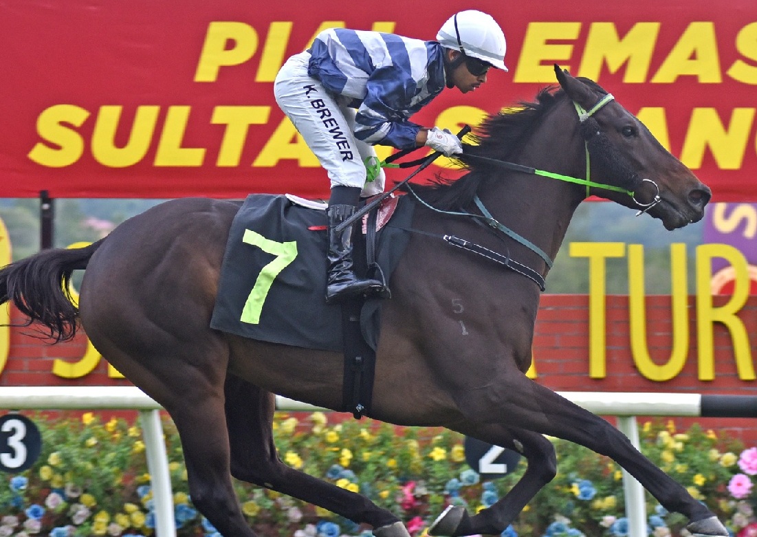 THE GURU CAN CONTINUE FIGHTING | Selangor Turf Club
